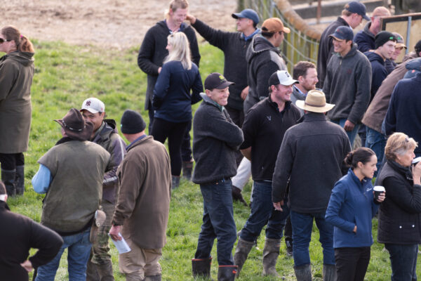 DNA (PBB/Neogen) – AngusNZ