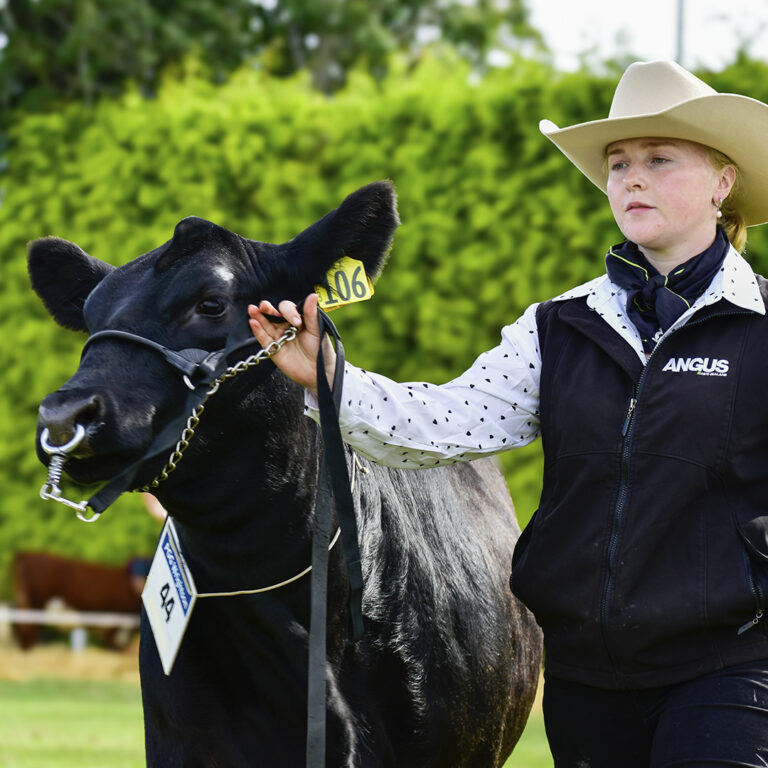 Generation Angus Youth teams forming for World Angus Forum – AngusNZ