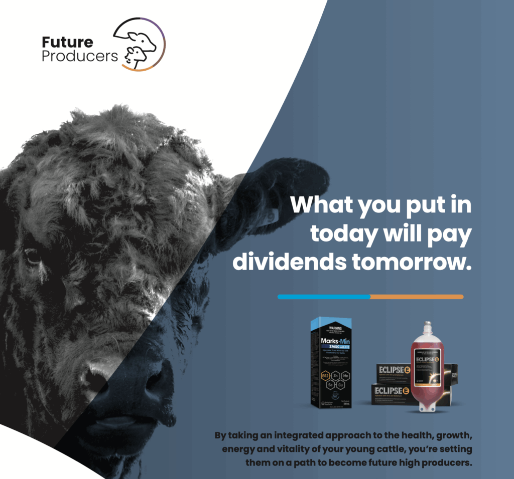 Claim Your Free Drench from Boehringer Ingelheim! - AngusNZ