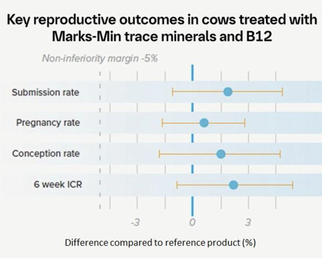 The Importance of Trace Mineral Injections – AngusNZ